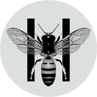 Cboystv Merch - Shop the latest Cboystv merchandise online now ...